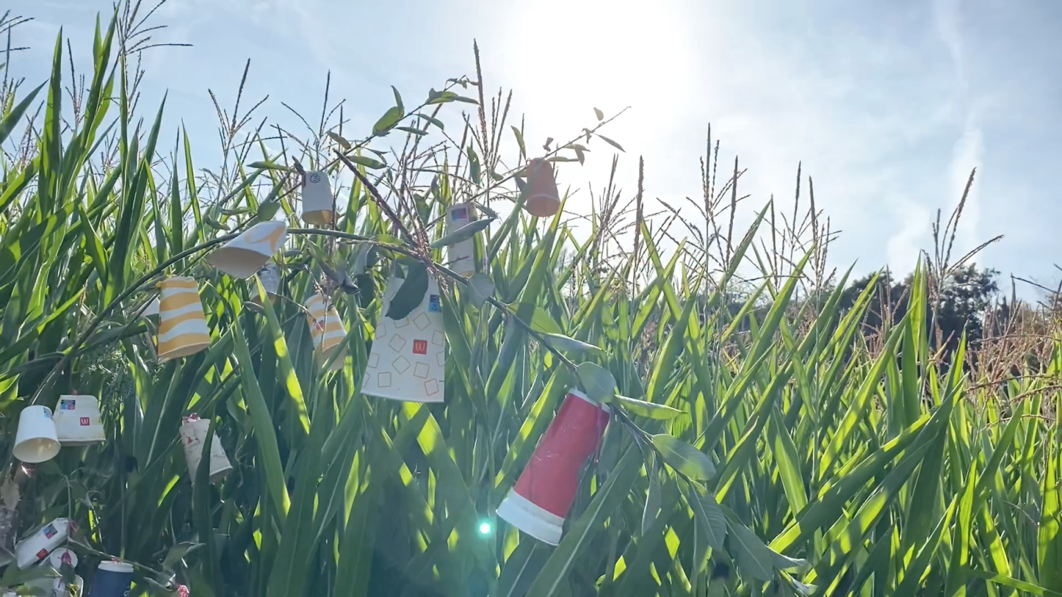 Tiere | Kunstmais | 2018 | Kerstin Lochner